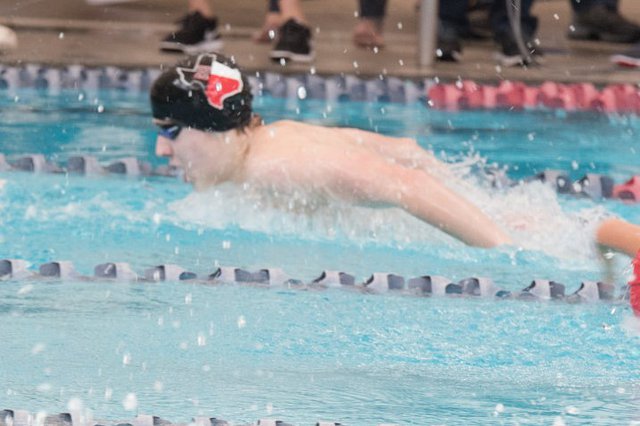 William Knox | Swimcloud