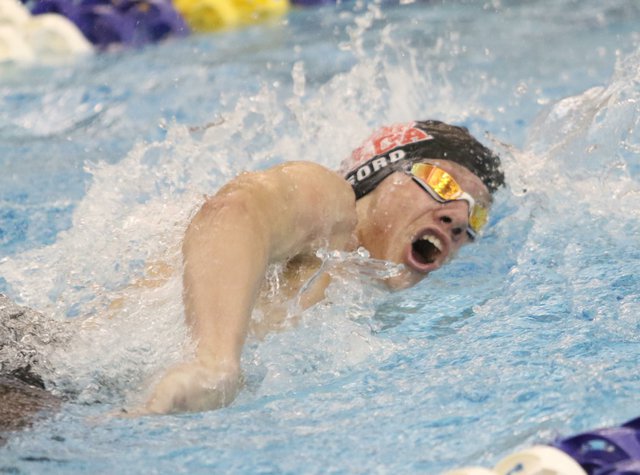 Toby FORD | Swimcloud