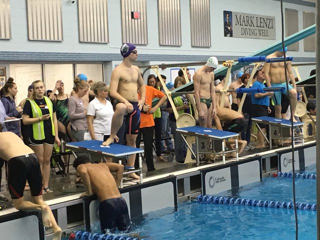 Stefan Brandt | Swimcloud