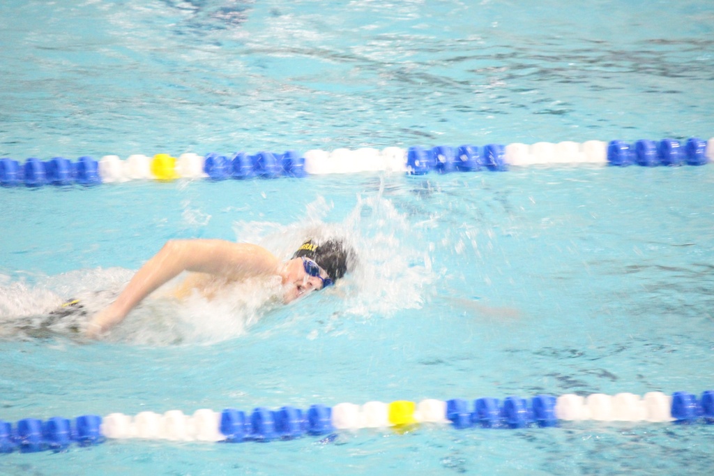 Max Murray | Swimcloud