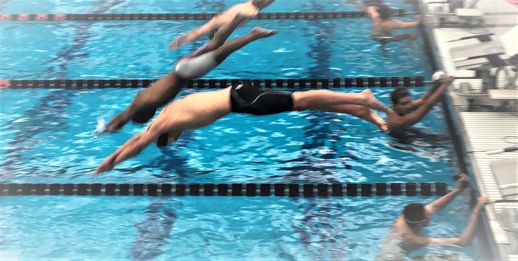 Michael Foley | Swimcloud