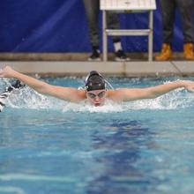 Katie Sharkey | Swimcloud