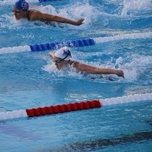 Kayleigh Witt | Swimcloud