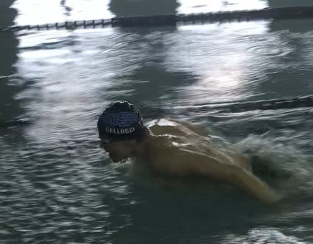 Michael Cellucci | Swimcloud