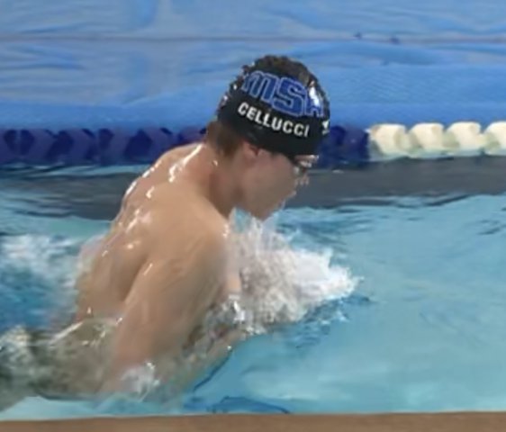 Michael Cellucci | Swimcloud