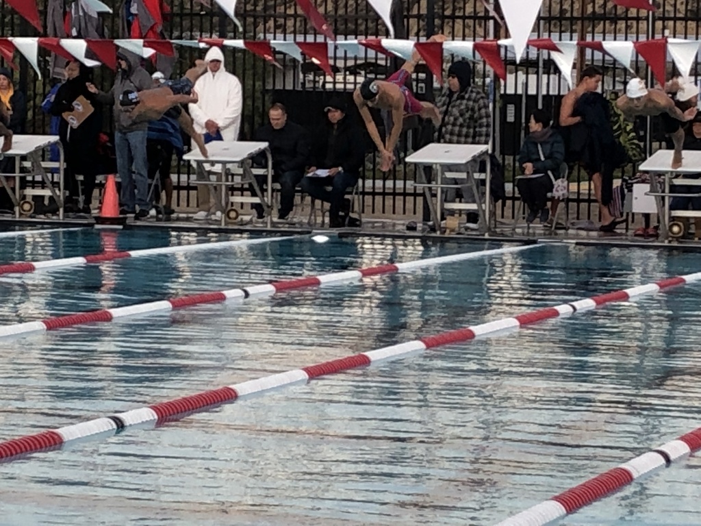 David Kugler | Swimcloud