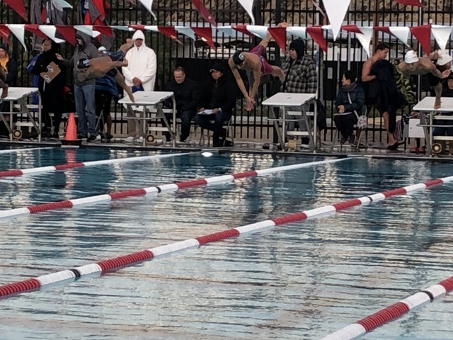 David Kugler | Swimcloud