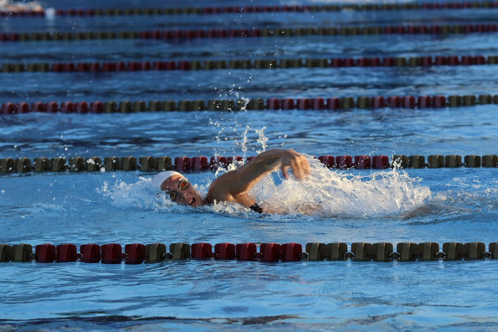 Meg Howell | Swimcloud