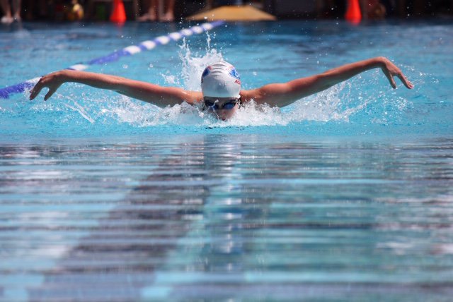 Avery Spade | Swimcloud