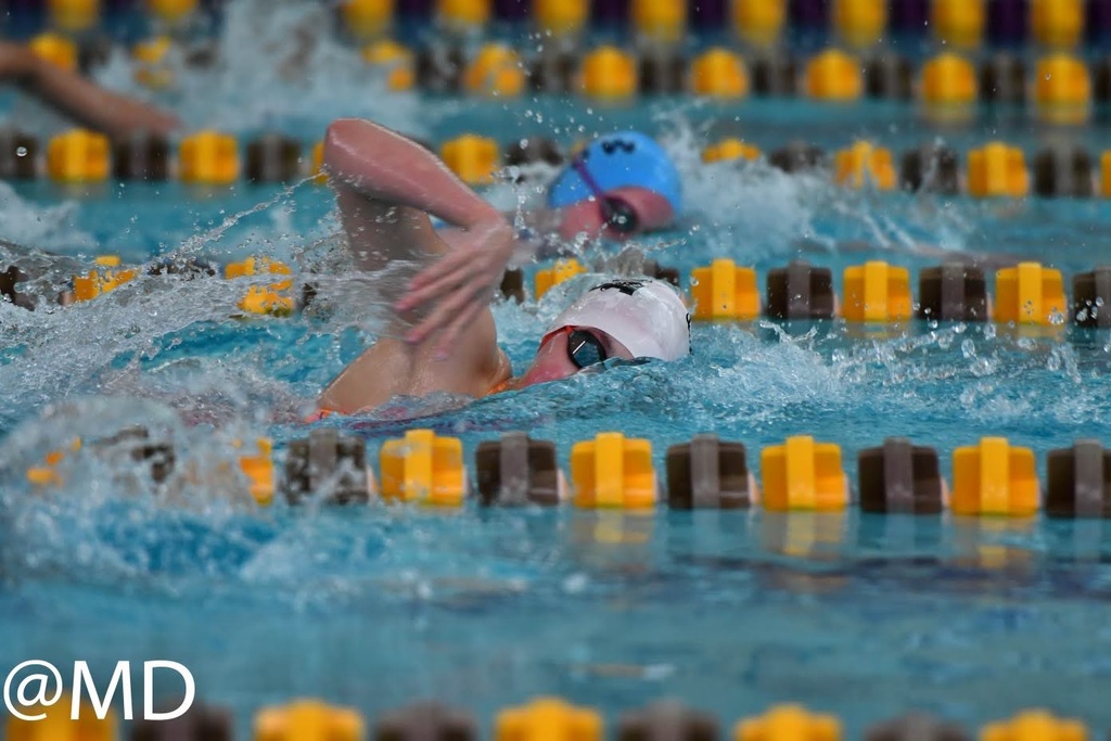 Kristen Ivey | Swimcloud