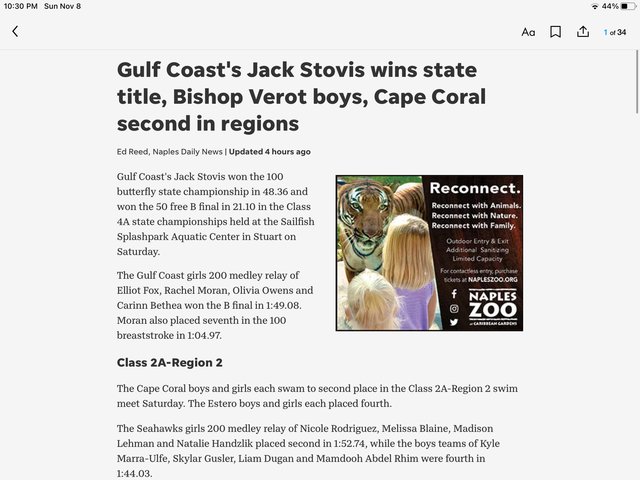 Jack Stokvis | Swimcloud