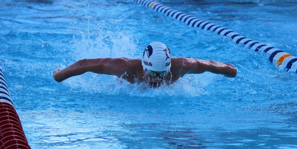 Dylan Dangerfield | Swimcloud