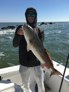 Drew Salls | Swimcloud