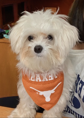 Angie Coe | Swimcloud