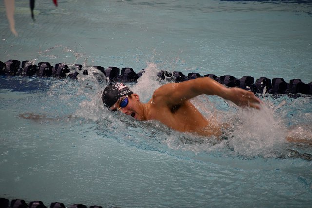 Addison Collins | Swimcloud