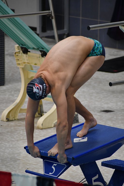 Addison Collins | Swimcloud