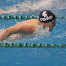 Anthony Colangelo | Swimcloud