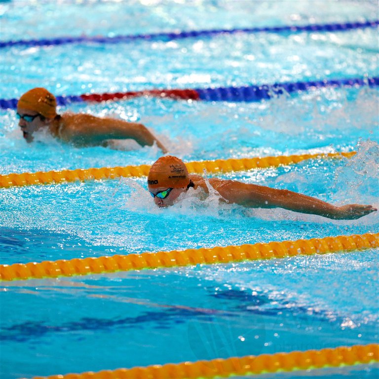 Anthony Whittall | Swimcloud