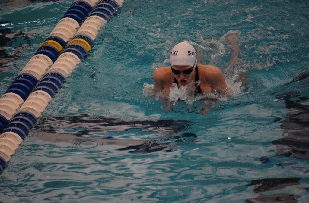 Marissa DeMarco | Swimcloud