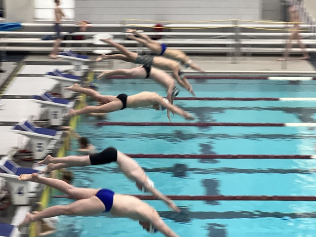 Tyler Steffan | Swimcloud