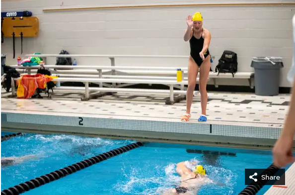 Avarey Wilson | Swimcloud