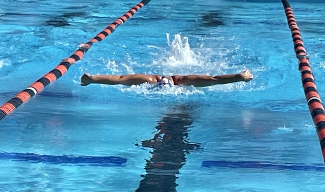 Sydney Player | Swimcloud