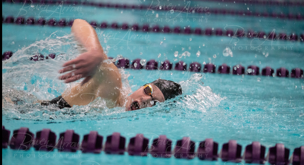 Ella Sears | Swimcloud