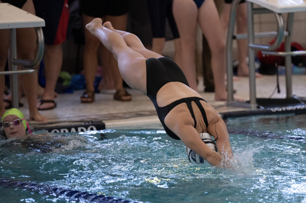 Halle Sears | Swimcloud