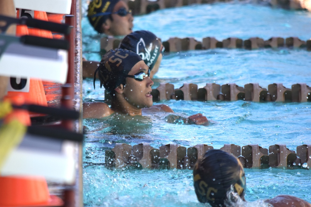 Sam Allen | Swimcloud