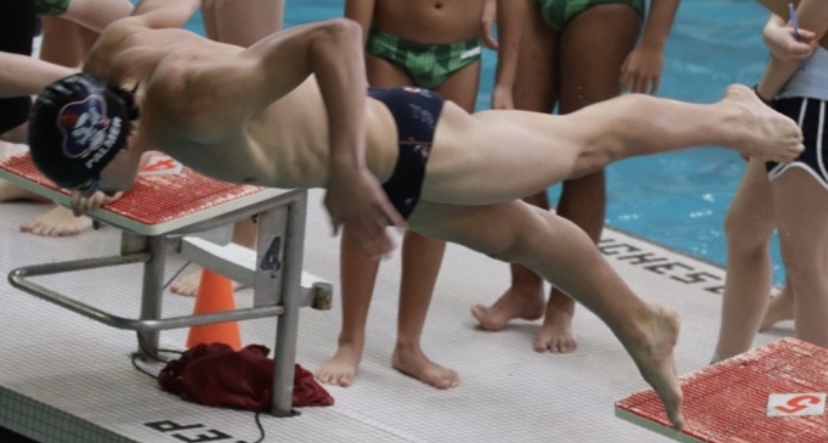 Alex Palmer | Swimcloud