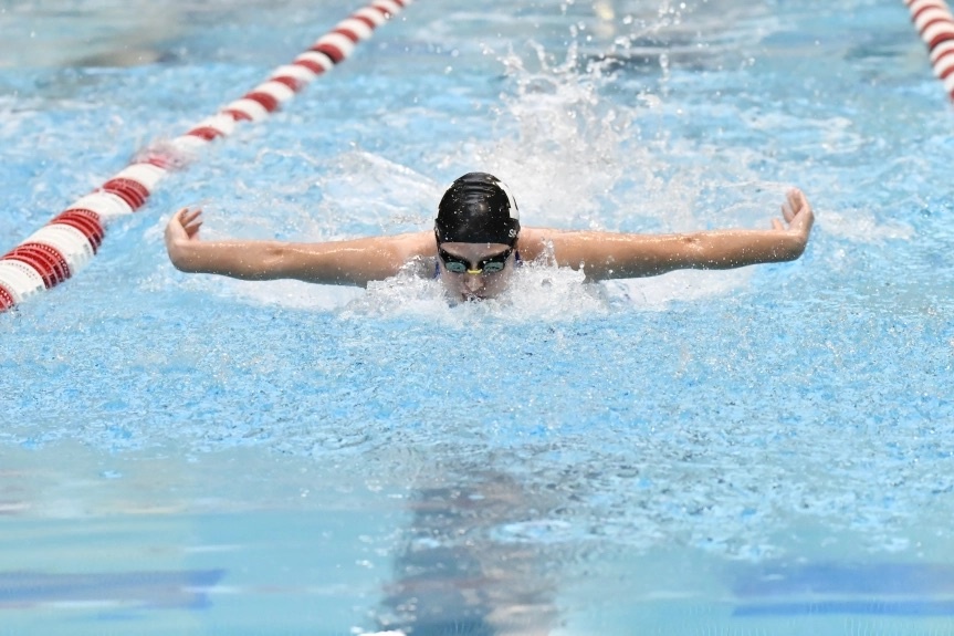 Audrey Shambo | Swimcloud