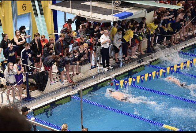 Sam Kohler | Swimcloud