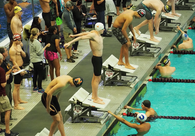 Rowan Cox | Swimcloud