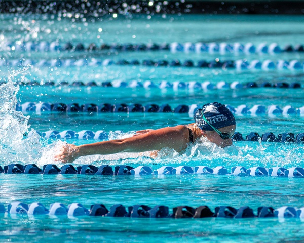 Cassidy Allison | Swimcloud