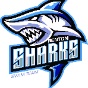 Benton Sharks - Blue Team