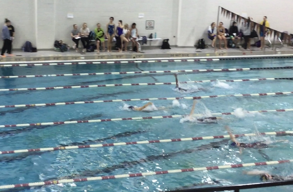 Anabelle Cook | Swimcloud