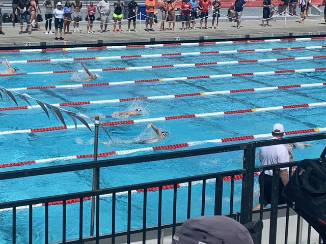 Patrick Curran | Swimcloud