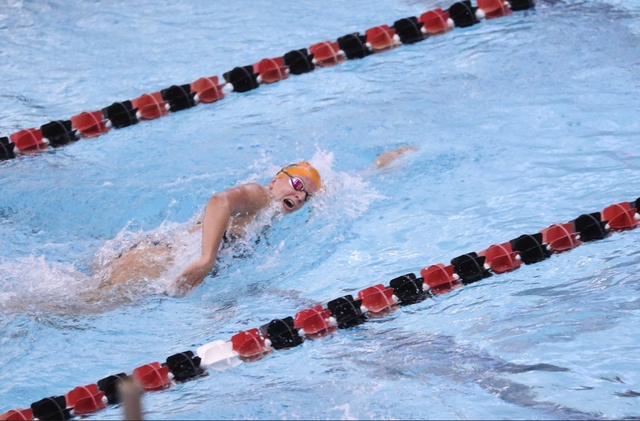 Avery Rottier | Swimcloud