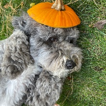 Ben Allen | Swimcloud