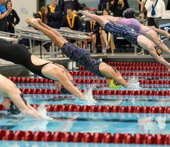 Sara Lindner | Swimcloud