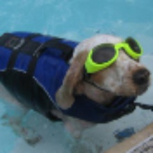 Joel Brown | Swimcloud