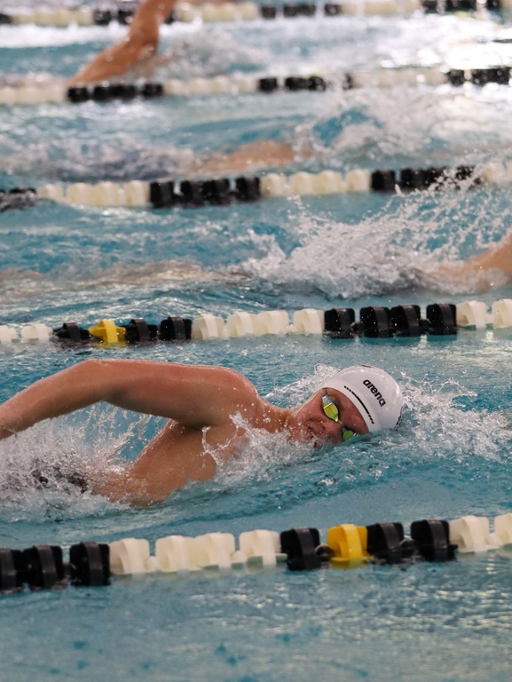 Michael Cellucci | Swimcloud