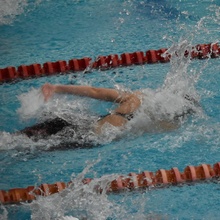 Marissa Losonczy | Swimcloud