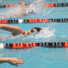 Madison Whidden | Swimcloud