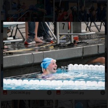 Harper Cook | Swimcloud