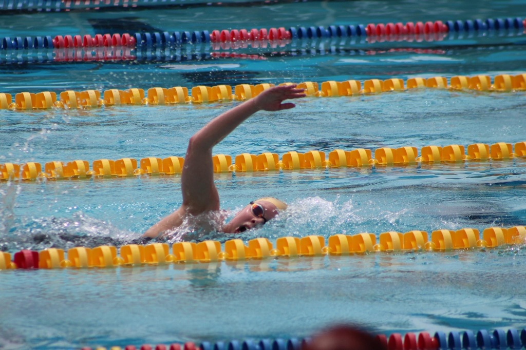 Teague Westra | Swimcloud