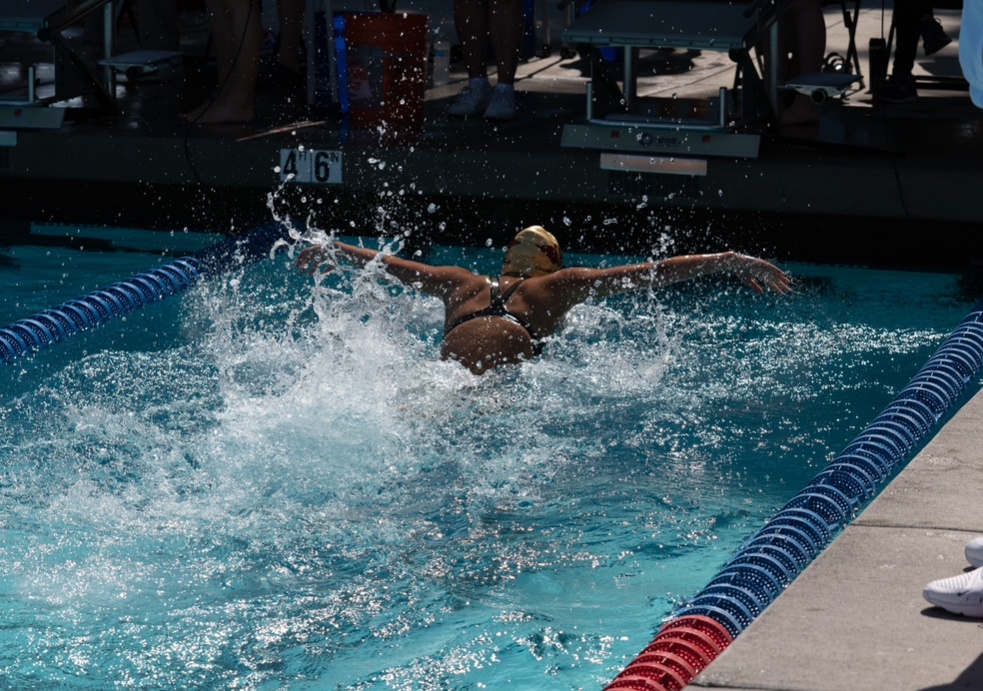 Amanda Vu | Swimcloud