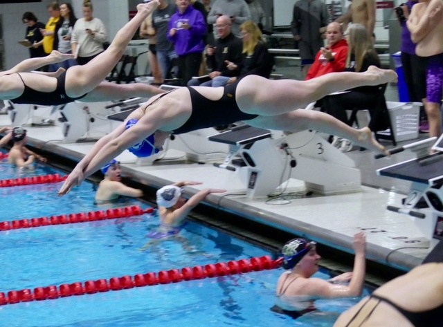 Mia Henderson | Swimcloud