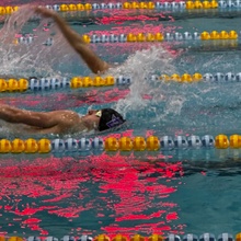 Kane Willis | Swimcloud