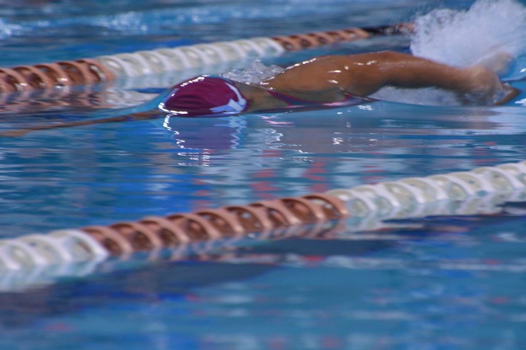 Haley Finley | Swimcloud